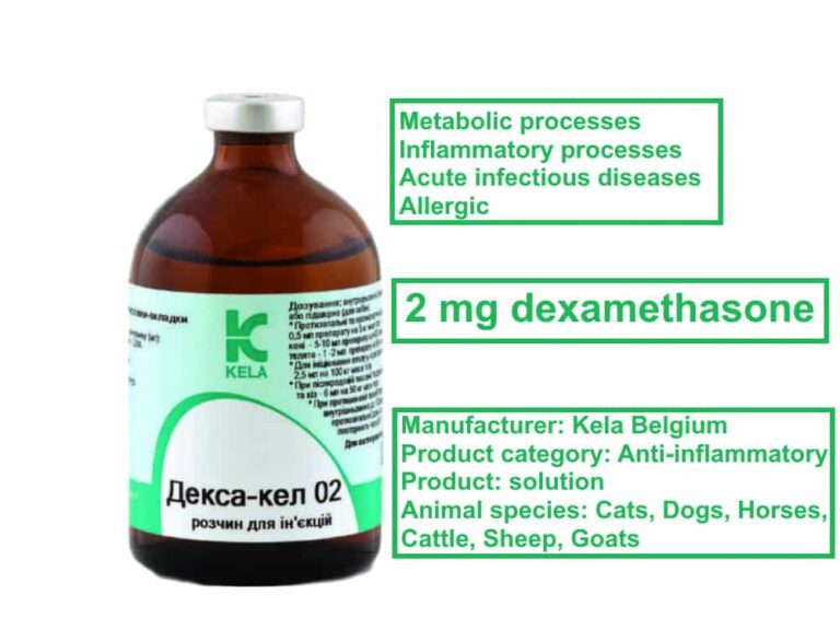 Dexa-Kel100 ml (Dexamethasone 2mg) - Loopyvet - Online Vet Pharmacy