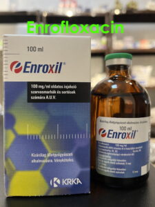 Enroxil 10% Injection (enrofloxacin 100 mg) 100 ml - Loopyvet