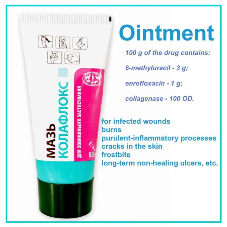 Enroxil 10% Injection (enrofloxacin 100 mg) 100 ml - Loopyvet