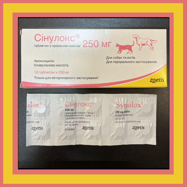Clavaseptin 250 mg (amoxicillin + clavulanic acid) Without prescription