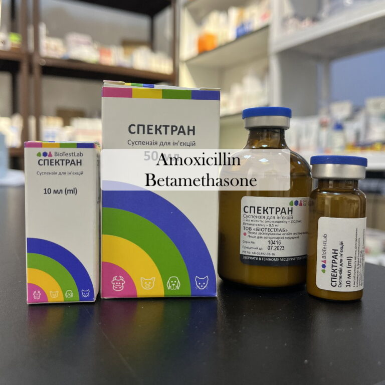 Clavaseptin 250 mg (amoxicillin + clavulanic acid) Without prescription