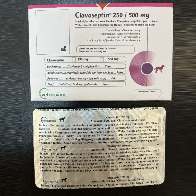 Clavaseptin 62.5 mg for cats and dogs (amoxicillin + clavulanic acid ...