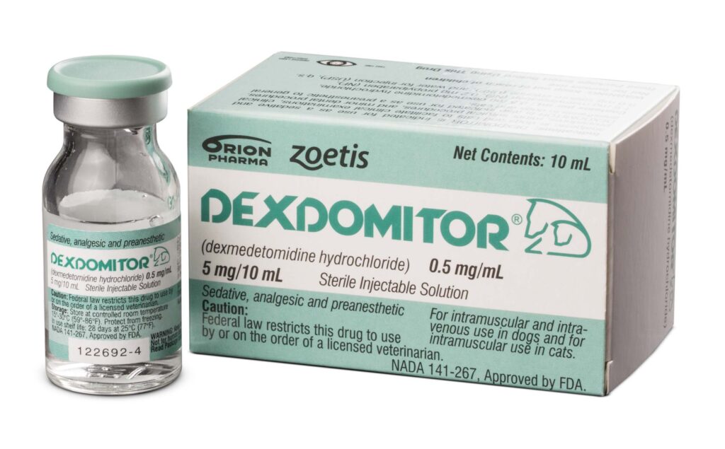 Deksdomitor 0.5 mg / ml (Dexdomitor 0,5), 10 ml - Loopyvet