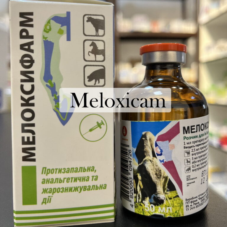 Melvet (meloxicam) Solution for injection 100 ml - Online Vet Pharmacy