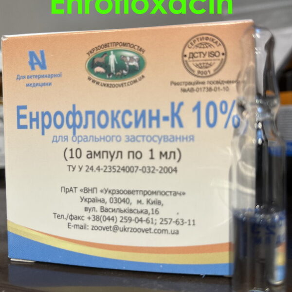 Enroxil 15 mg (enrofloxacin) for Dogs and Cats 30 tablets - Loopyvet