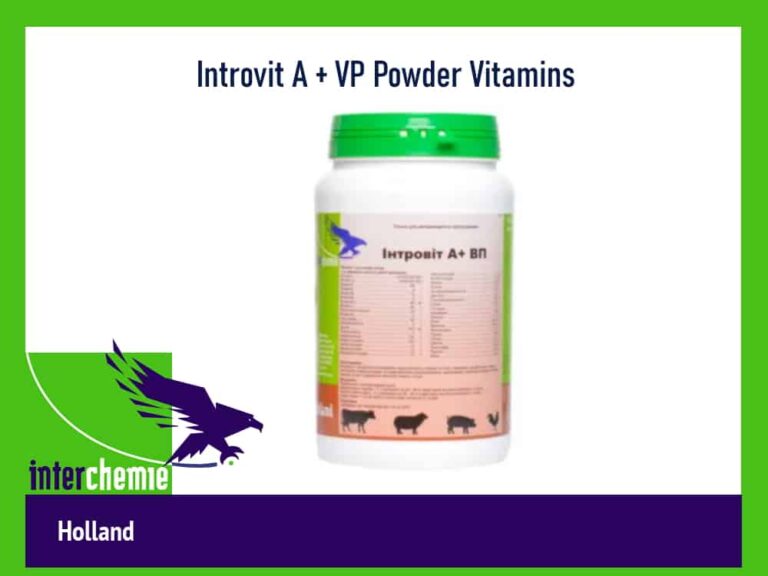 Introvit A + VP Powder Vitamins 1000 g - Loopyvet For SALE Online