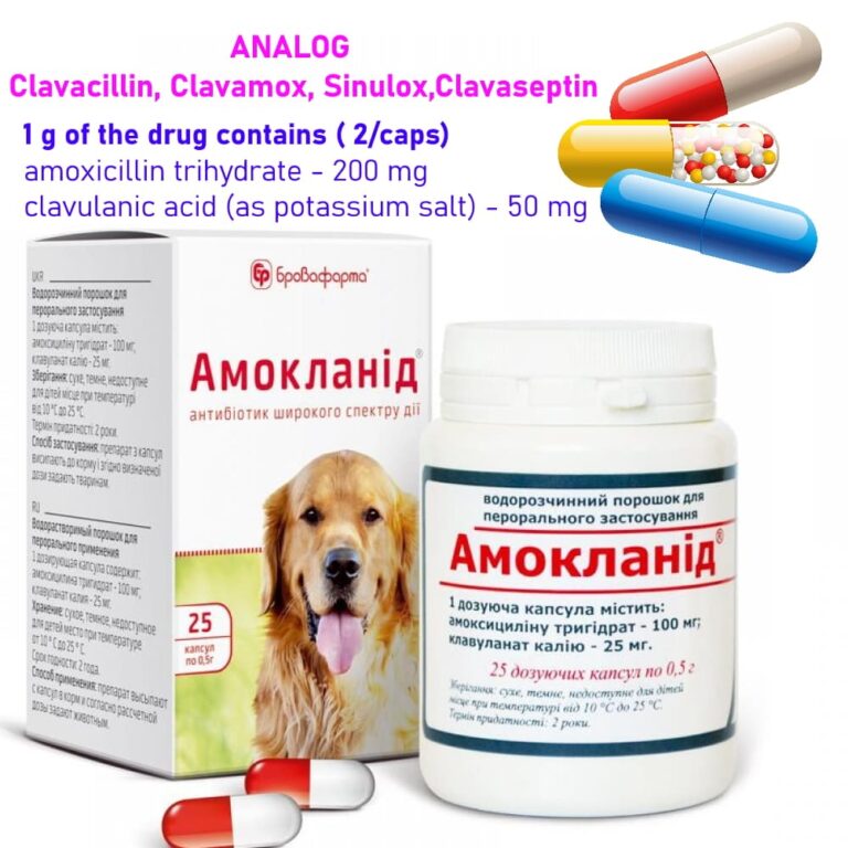 Clavaseptin 62.5 mg for cats and dogs (amoxicillin + clavulanic acid ...
