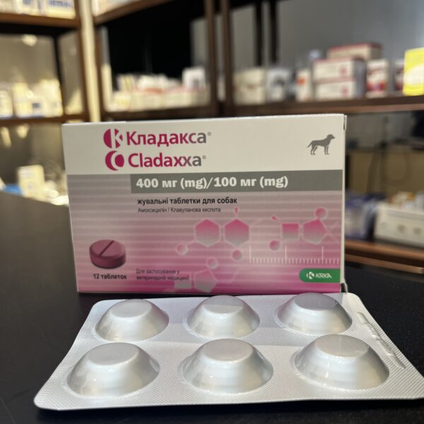 Antibacterial ♦ Antibiotics Drugs - Loopyvet online store for SALE